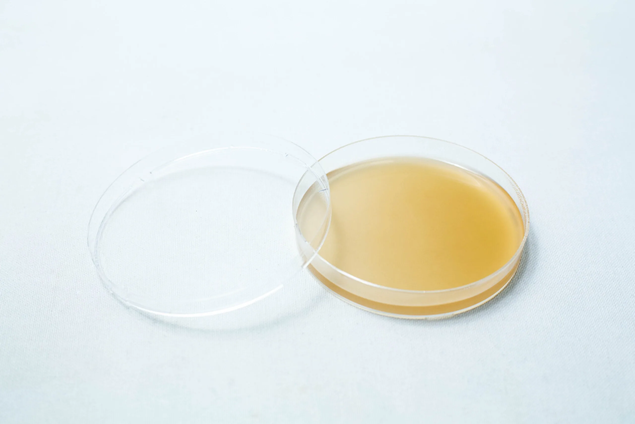 Pre-poured MYPA Agar Plates 90mm – Rootlab
